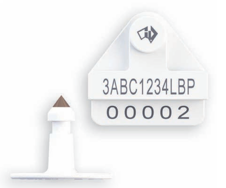 NLIS Cattle Tags | AgriEID Order Online | NLIS Cattle Tags – AgriEID ...