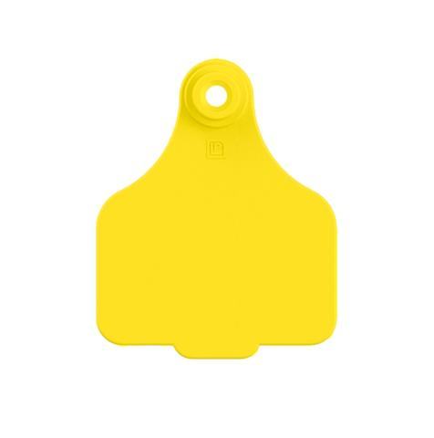 VISUAL MANAGEMENT TAGS (LARGE) – AgriEID Australia